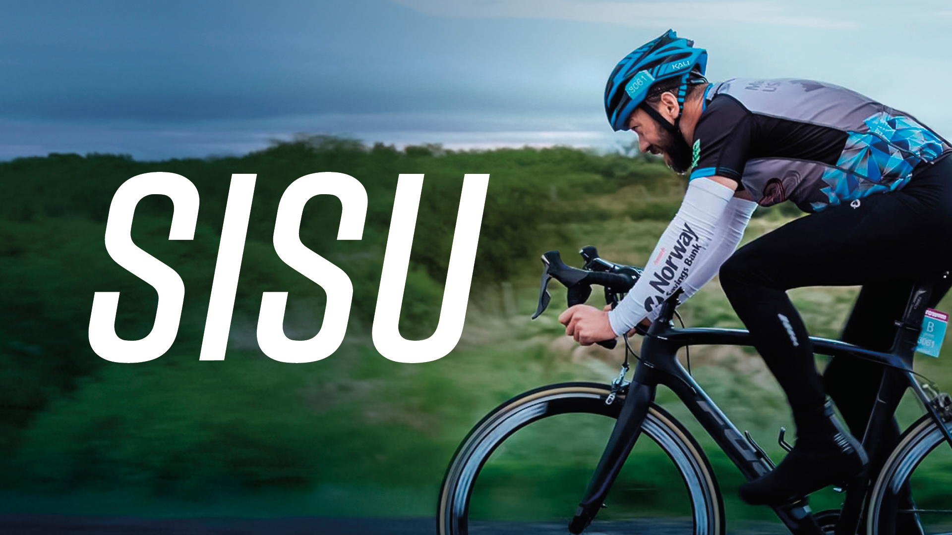 Sisu