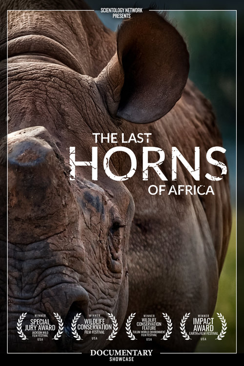 Les dernières cornes d’Afrique