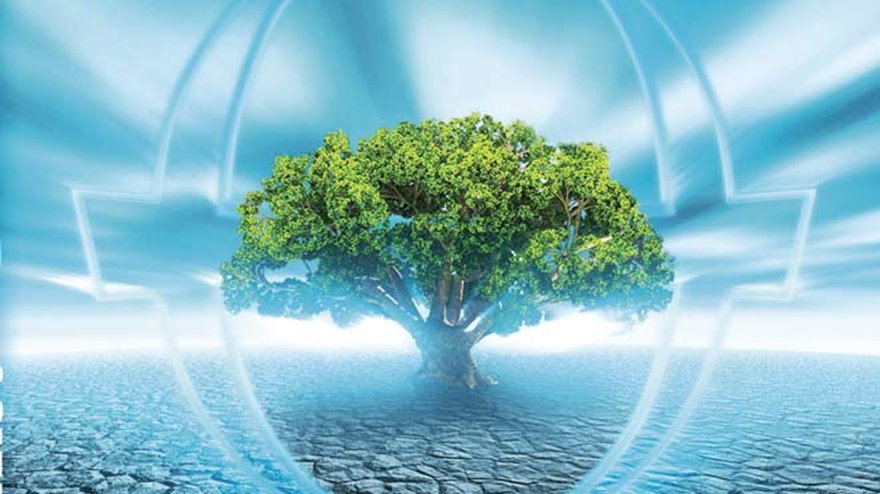 scientology cross origin